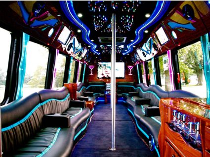 What makes Party Bus rentals a great option for your needs – Party Bus Blog